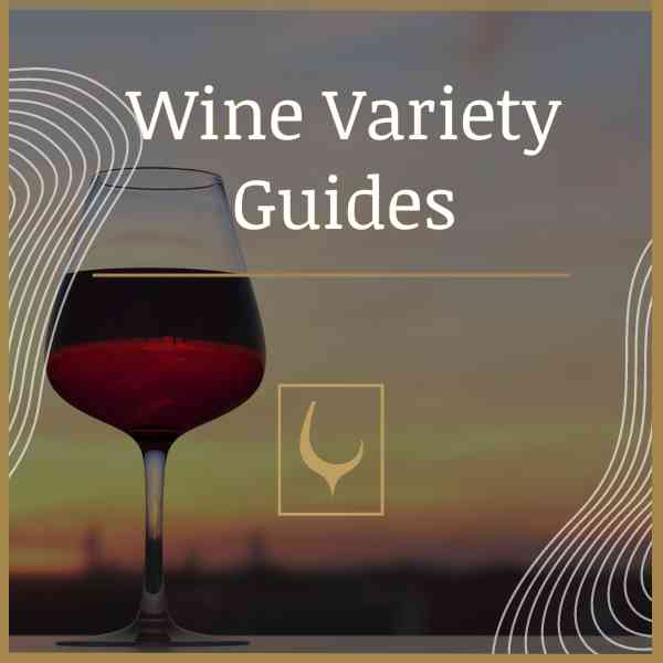 What Is Irish Wine? (Wines History, Varieties & Taste) | Expert Wine ...